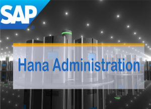 sap hana admin | SLA Consultants Noida